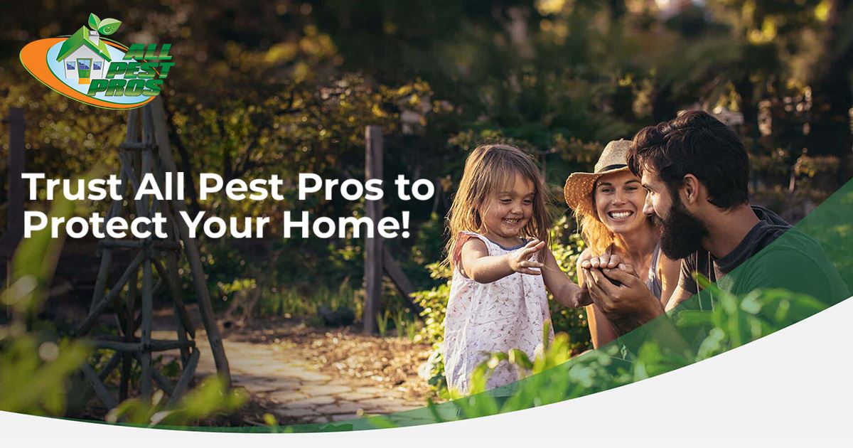 Pest Control in Southern California | All Pest Pros
